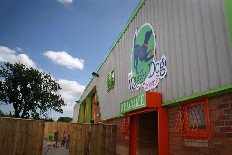 Waggy Dog Creche | Dog Day Care York | Dog Walking York