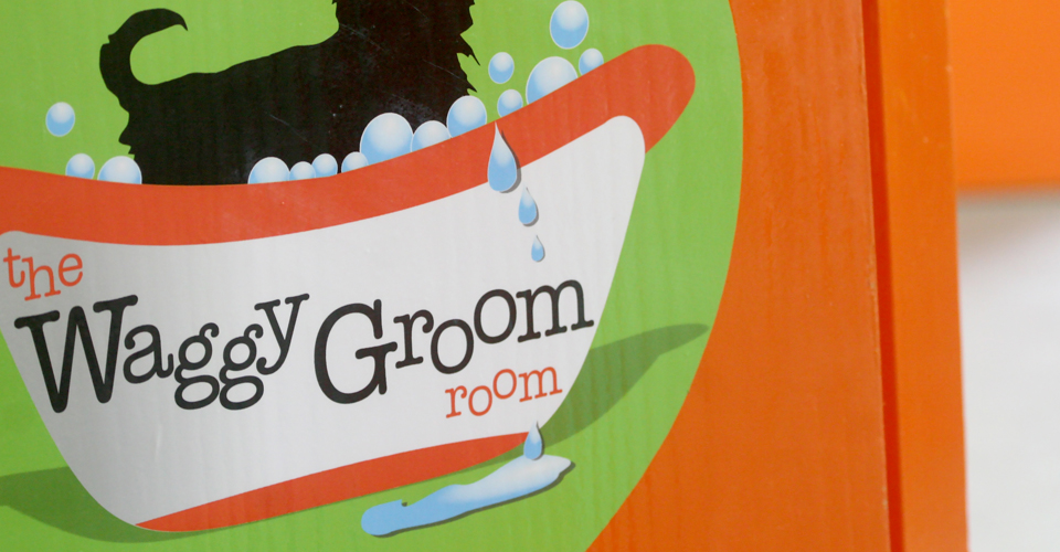 Gallery | Waggy Dog Creche