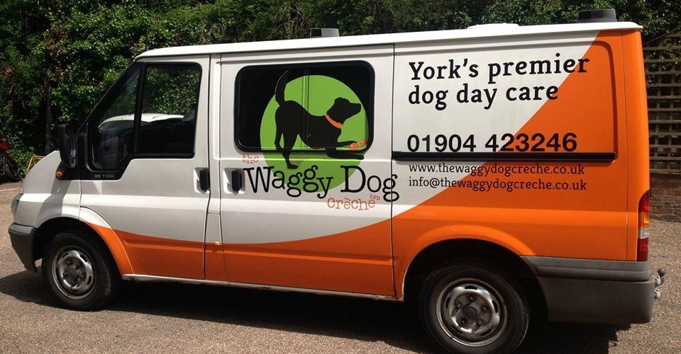 Gallery | Waggy Dog Creche